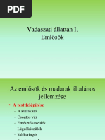 MATE Tanevi Idobeosztas 202425 Tanev ELFOGADOTT KORR 20240822 | PDF