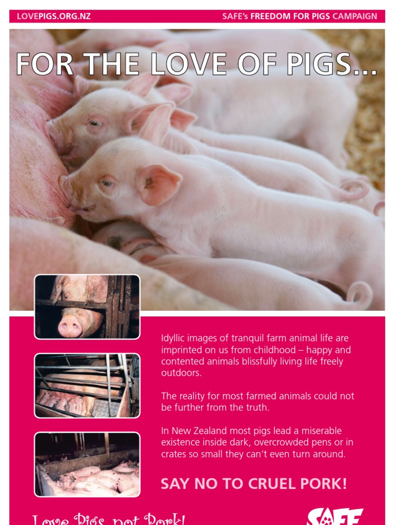 SAFE Posters: LovePigs Campaign Set | PDF | Domestic Pig | Suina