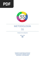 Que Son Las 3 S | PDF