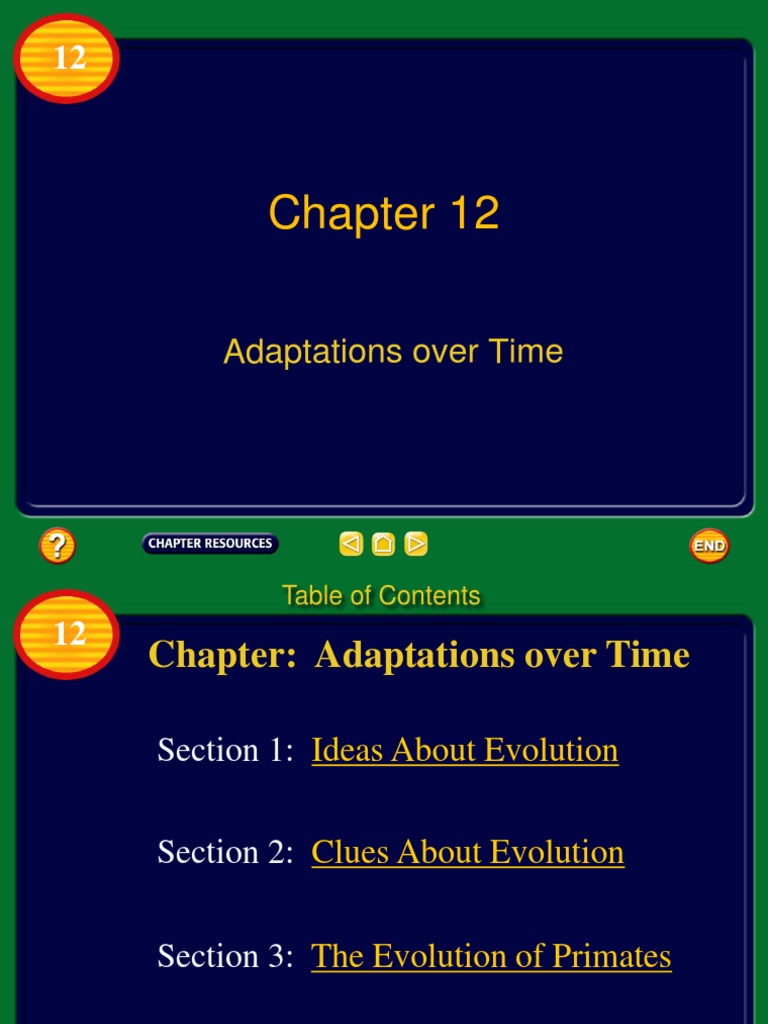 Adaptations Over Time | PDF | Natural Selection | Evolution