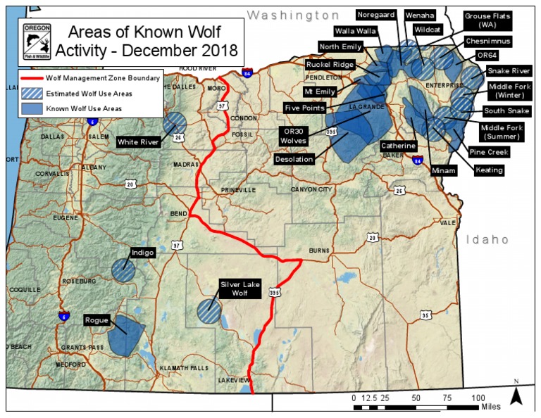 Oregon's Wolves | PDF