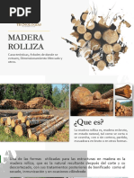 LUPUNA | PDF | Madera | Arboles
