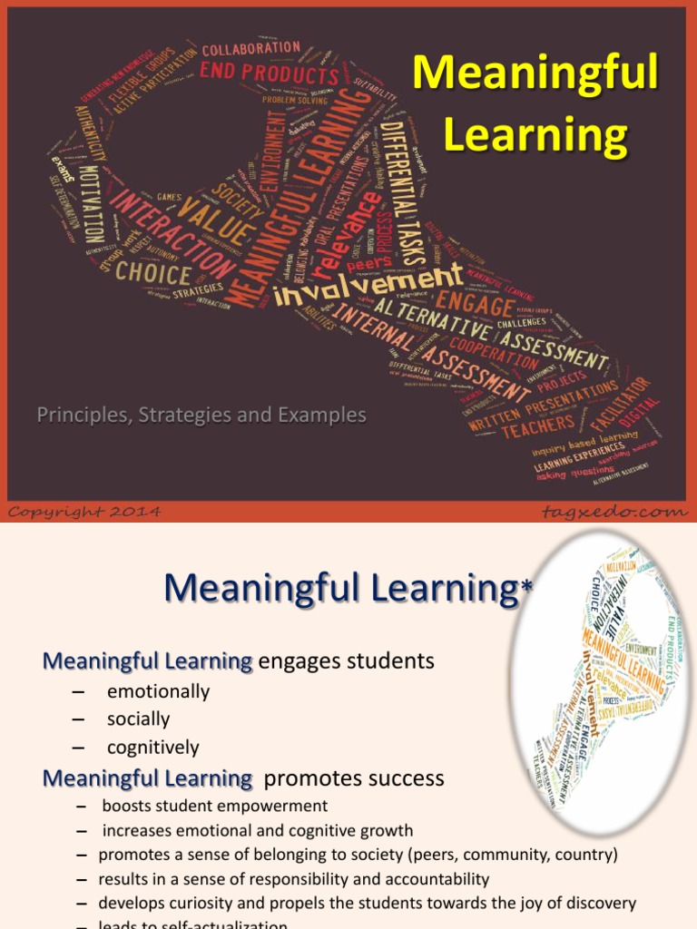Meaningful Learning: Principles, Strategies and Examples | PDF | Self ...