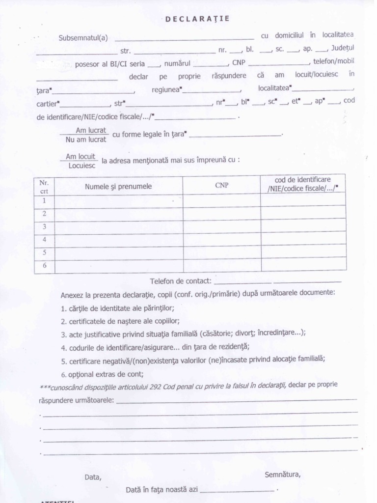 Formular Alocatie Stat | PDF