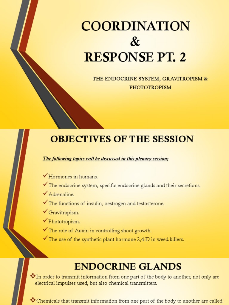 Coordination & Response Pt. 2 | PDF | Stimulus (Physiology) | Auxin