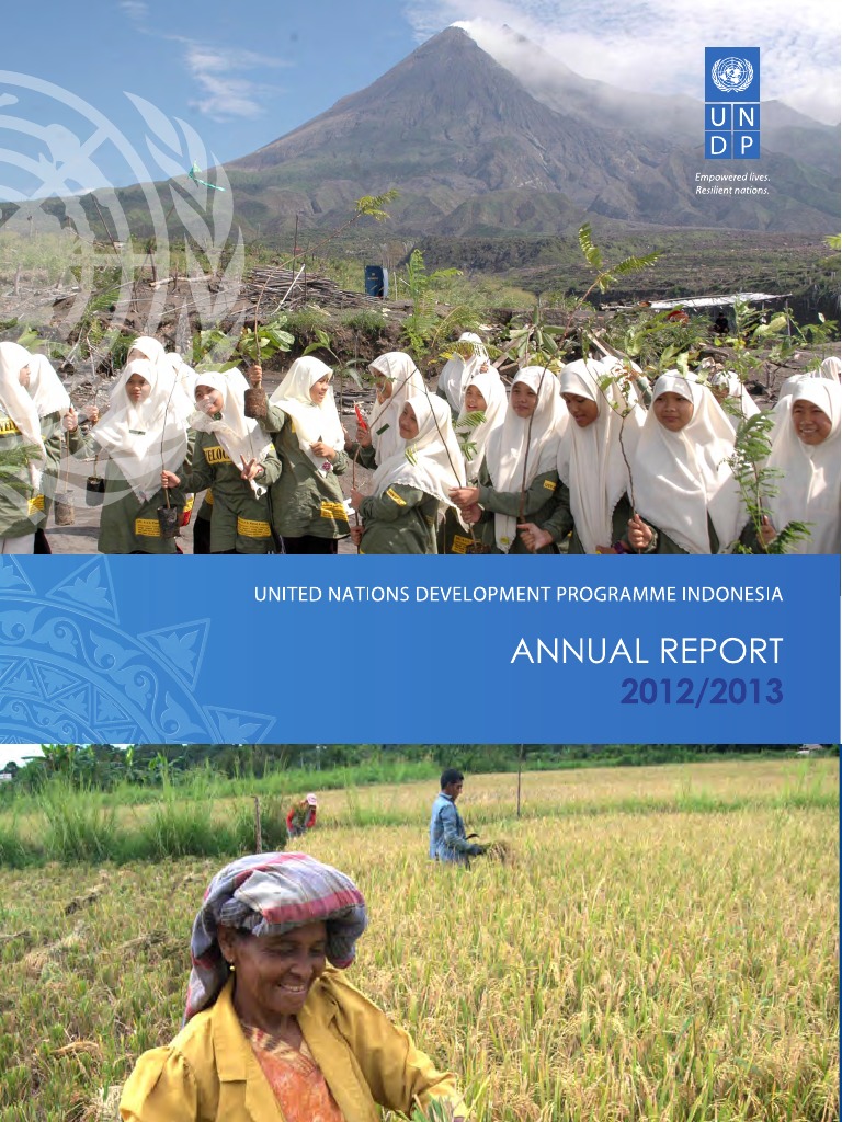 UNDP Annual Report | PDF | Millennium Development Goals | International ...