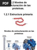 Estructura y Tipos de Láminas Beta | PDF | Hoja Beta | Proteínas