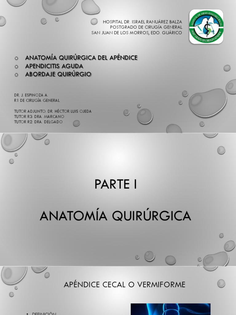 Anatomía Quirúrgica Del Apendice y Apendictis Aguda | PDF | Intestino ...