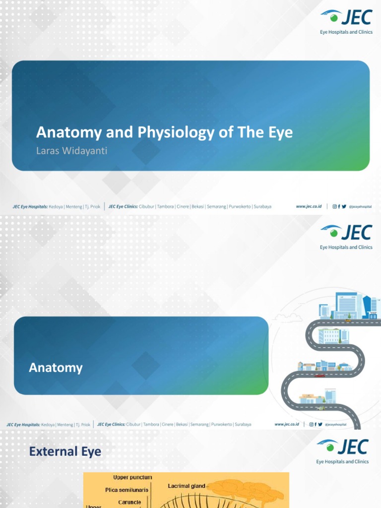 Anatomy and Physiology of The Eye | PDF | Eye | Cornea