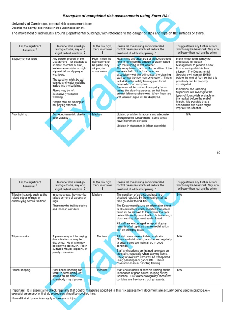 Examples of Completed Risk Assessments Using Form RA1 | Download Free ...