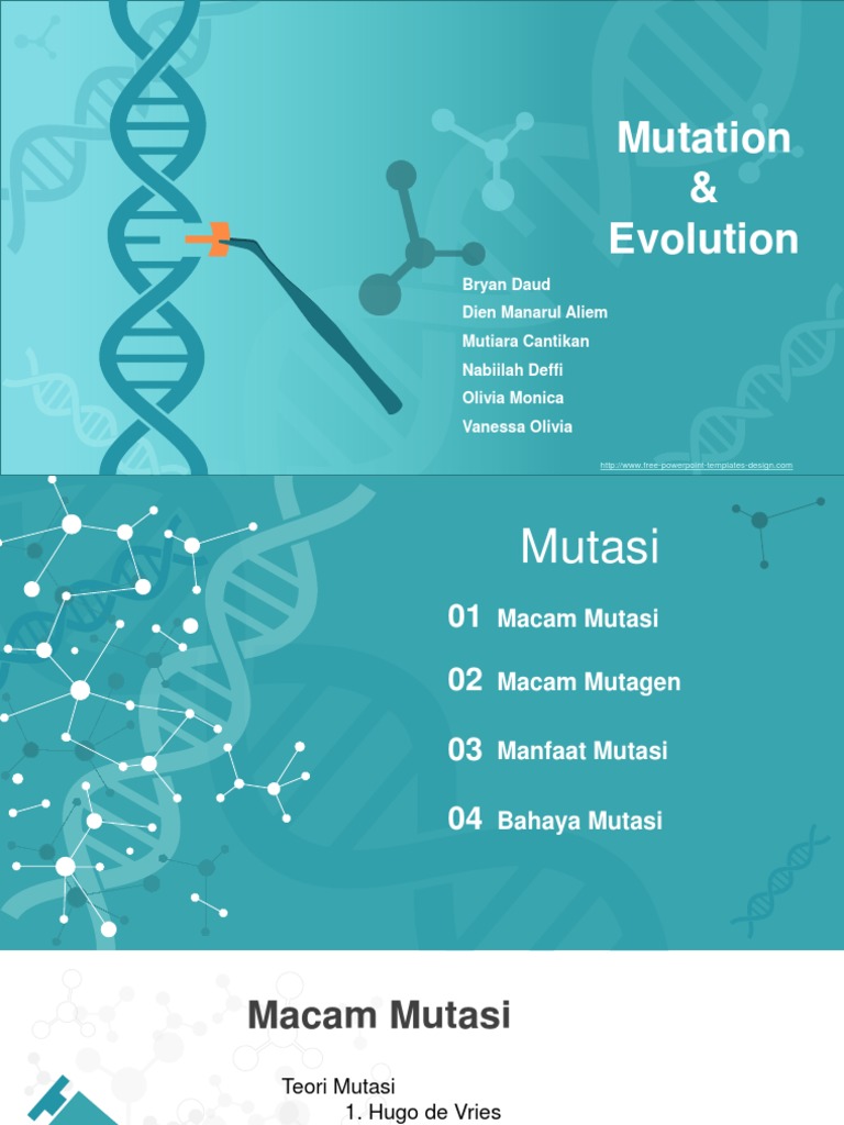 Biologi Mutasi Evolusi | PDF