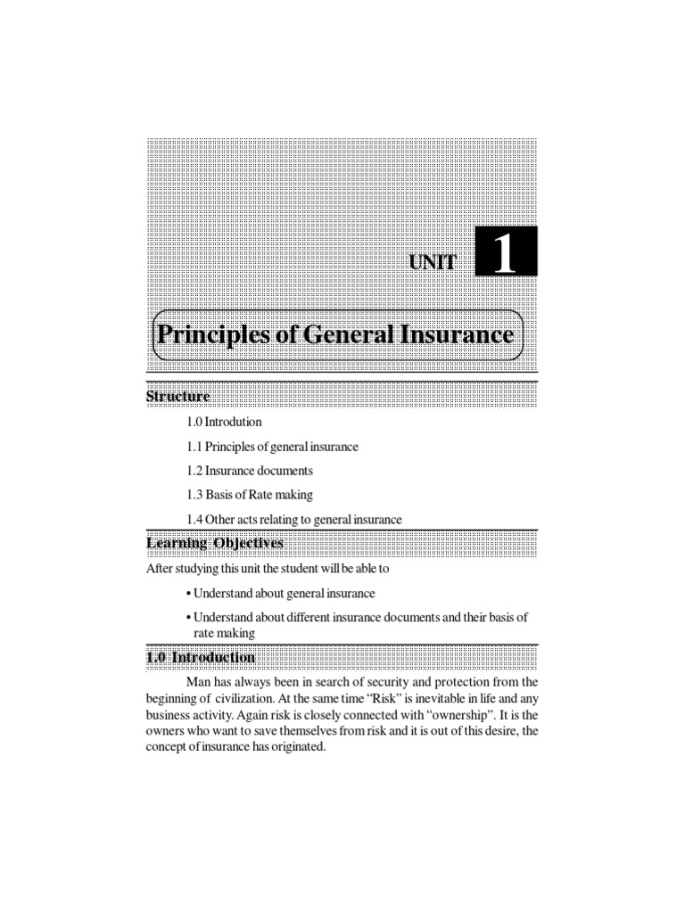 IMPaper IIIYR2 | PDF | Insurance Policy | Insurance