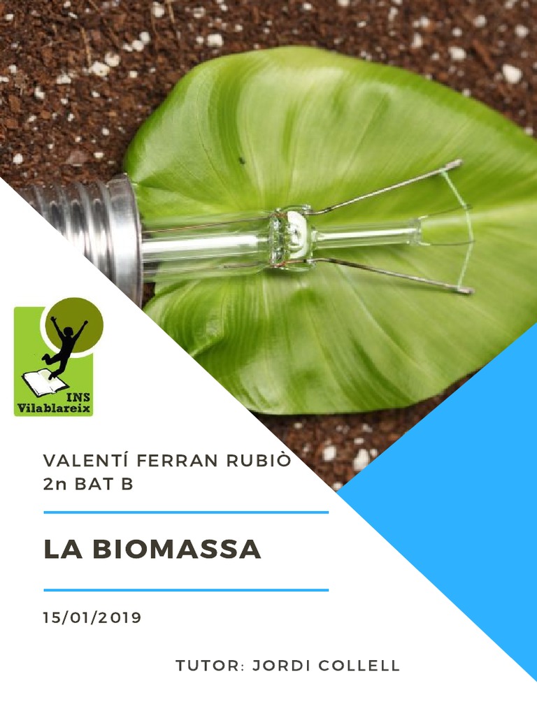 La Biomassa | PDF