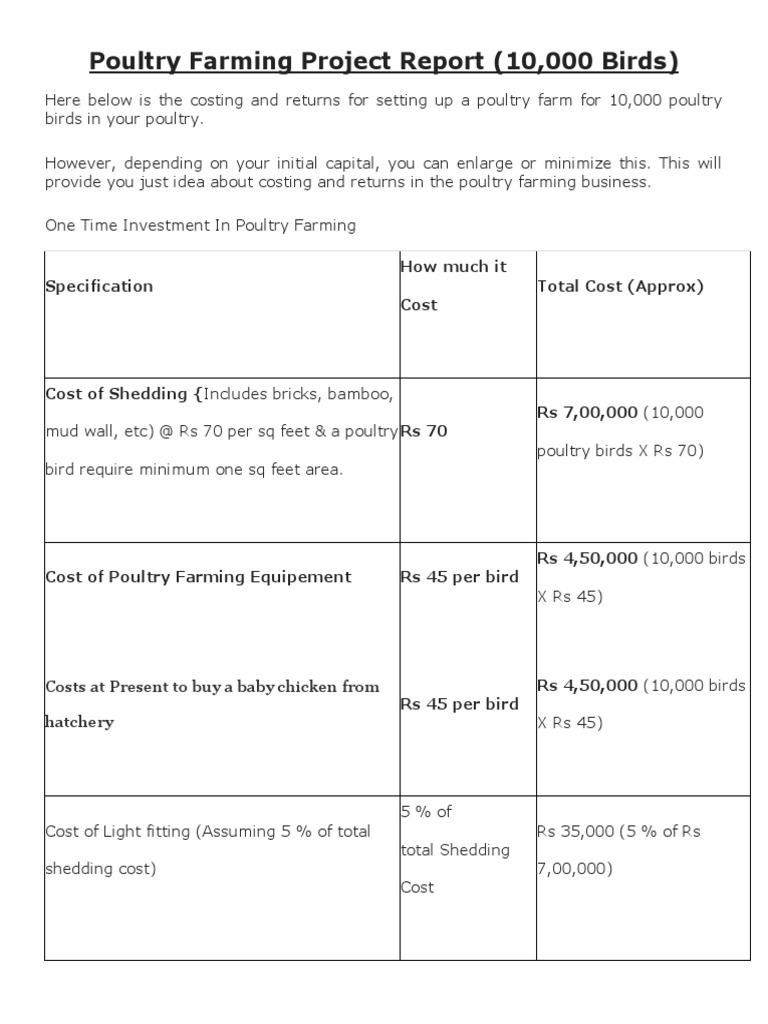 Poultry Farming Project Report (10,000 Birds) : Specification How Much ...