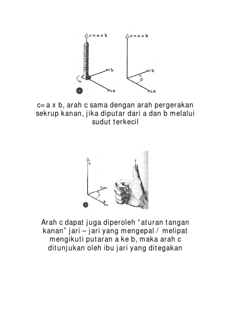 Fisika Vector | PDF