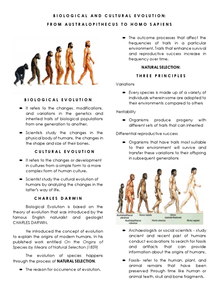 UCSP - Biological and Cultural Evolution | PDF | Homo | Evolution