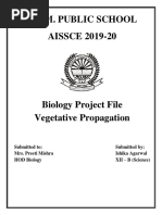 Dispersal of Seed by Various Agencies: Biology Investigatory Project ...