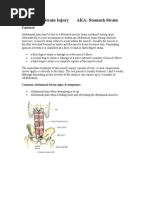 Alfredson Protocol - Achille's Tendonitis | PDF | Pain | Clinical Medicine