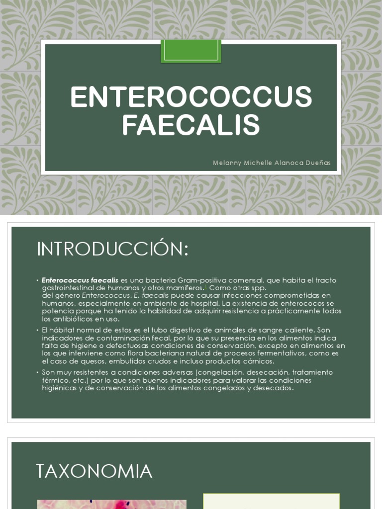 Enterococcus Faecalis | PDF | Patologia clinica | Microbiología