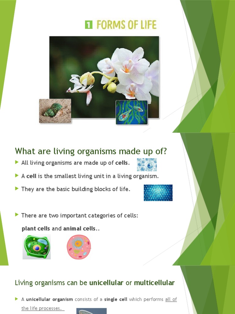 Natural Science 5 Unit1 Forms of Life | Download Free PDF | Organisms ...