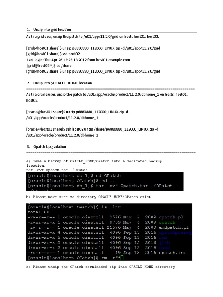Patching | PDF | Oracle Database | Zip (File Format)