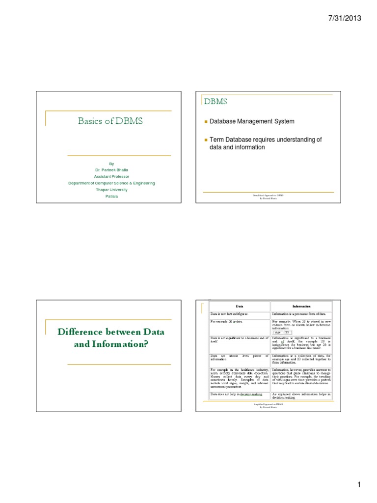 Chapter 1 Basics of DBMS Intranet | PDF | Databases | Computer File