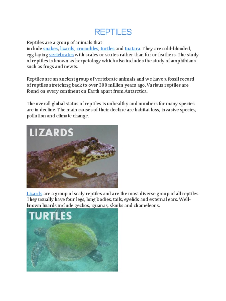 Reptiles: Snakes Lizards Crocodiles Turtles Tuatara Vertebrates | PDF ...