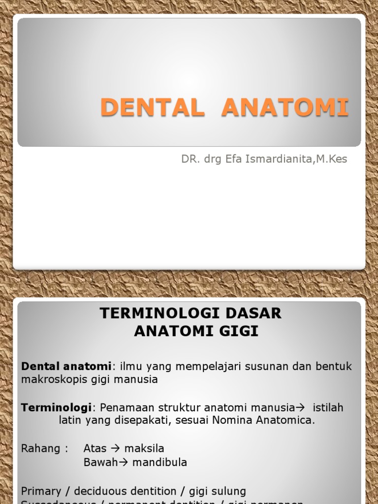 TERMINOLOGI DASAR Anatomi Gigi | PDF