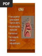 Mekanisme Rhinitis Alergi | PDF