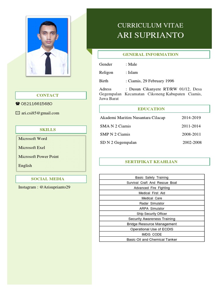 Curriculum Vitae Ari | PDF