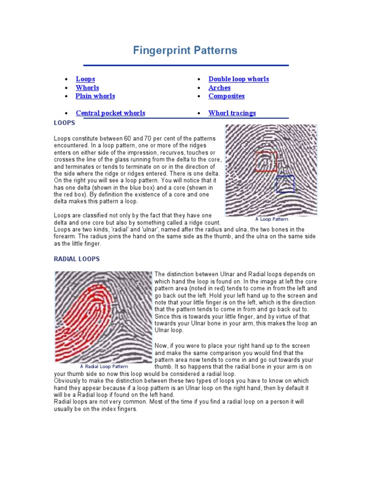Fingerprint Patterns: Loops Whorls Plain Whorls Central Pocket Whorls ...