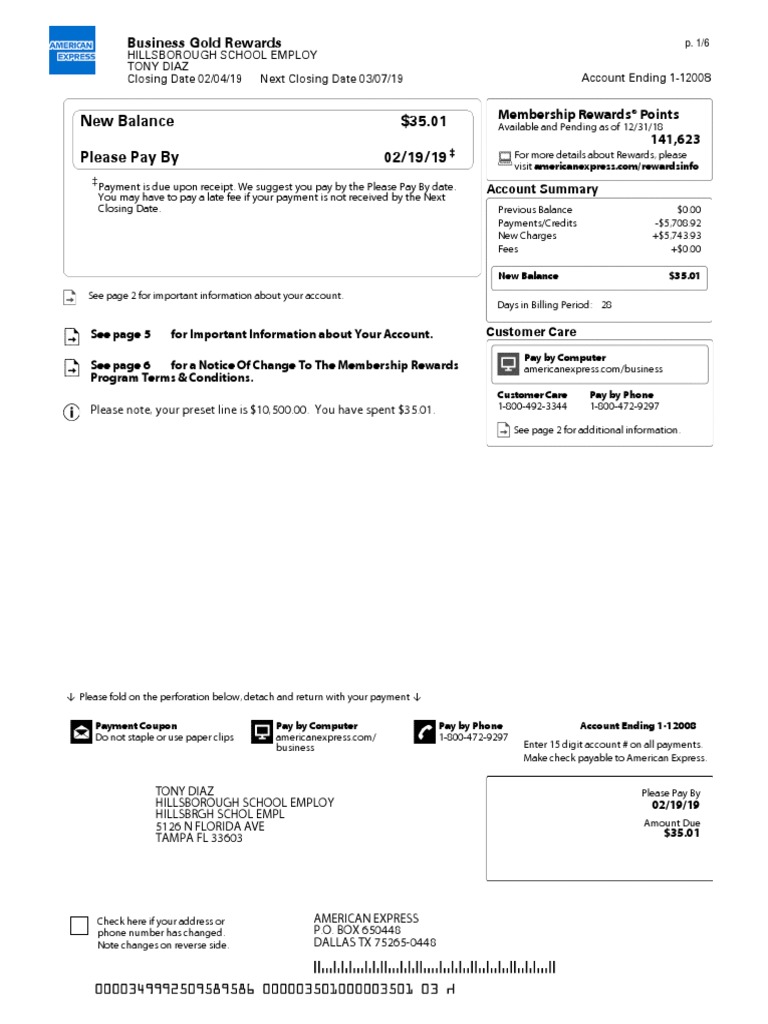 HSEF Credit Card Statement Feb 2019 | PDF | Cheque | American Express
