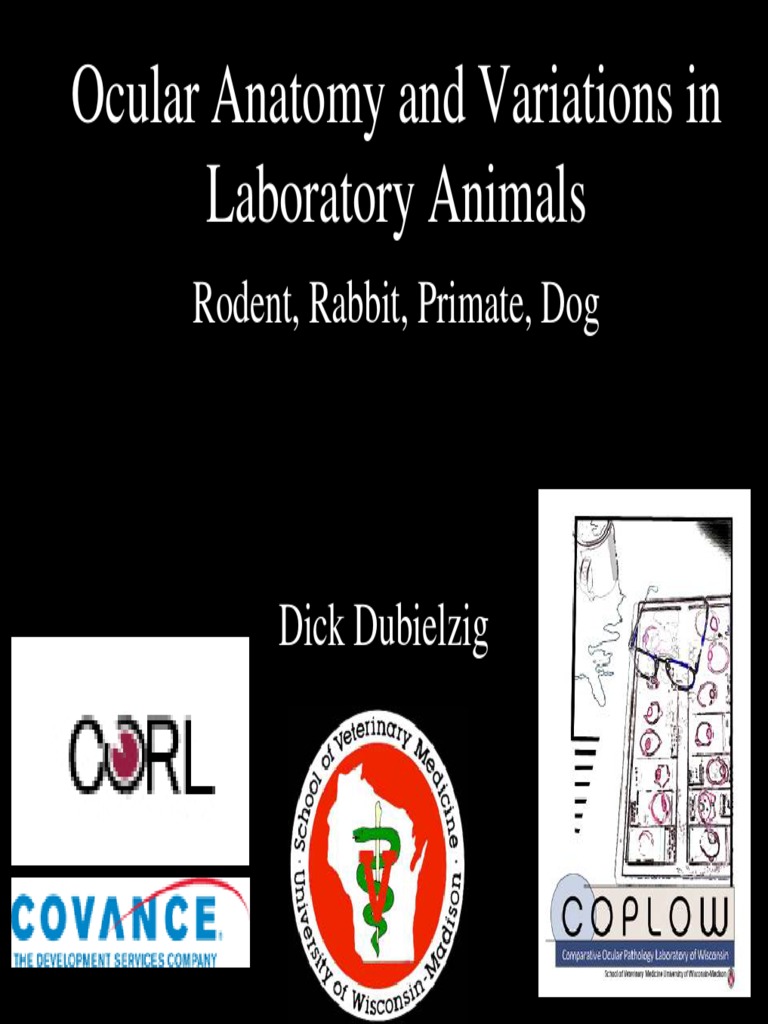 Ocular Anatomy and Variations in Laboratory Animals: Rodent, Rabbit ...