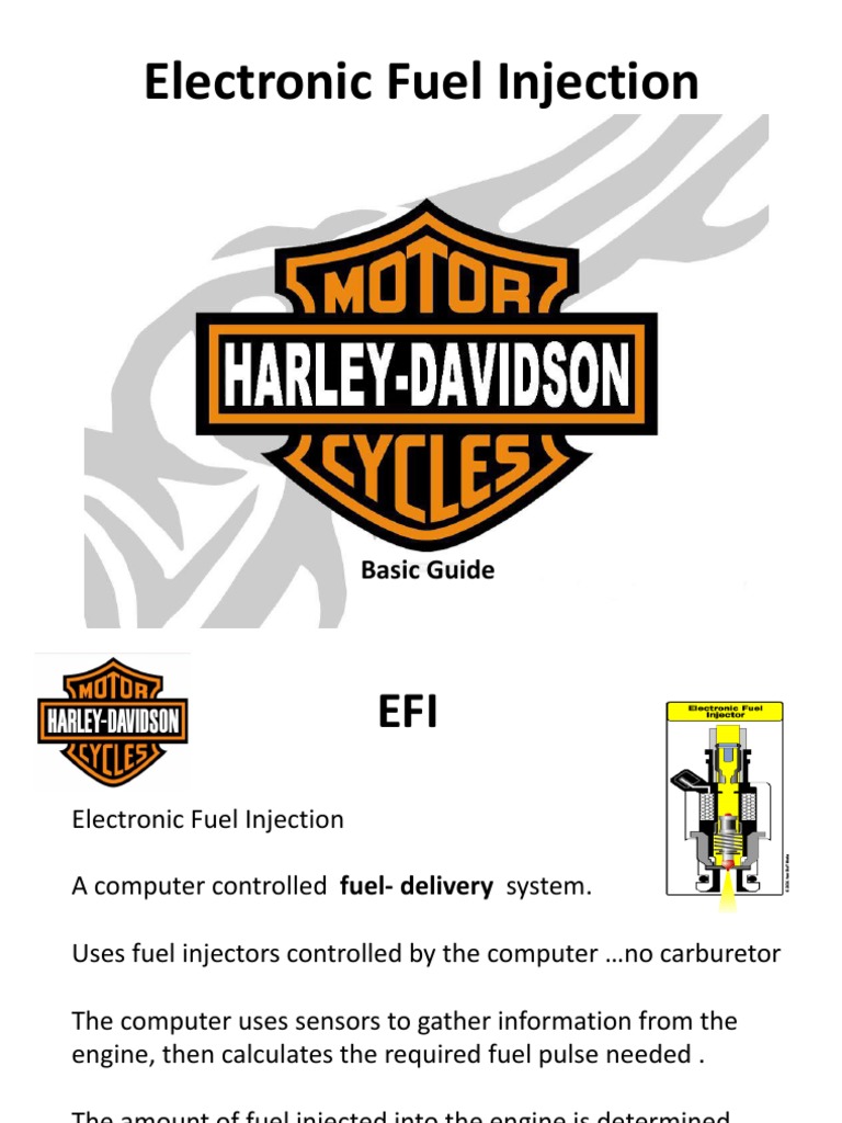 EFI Basics Harley | PDF | Fuel Injection | Throttle