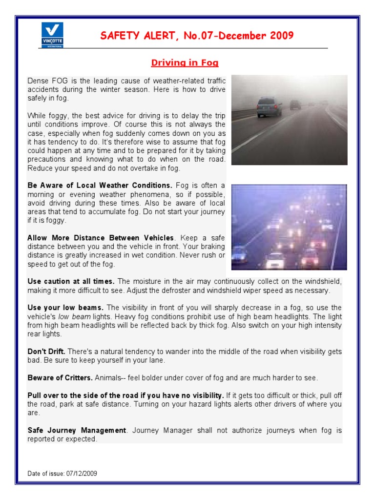 Fog Driving Safety Guidelines | PDF | Business | Home & Garden