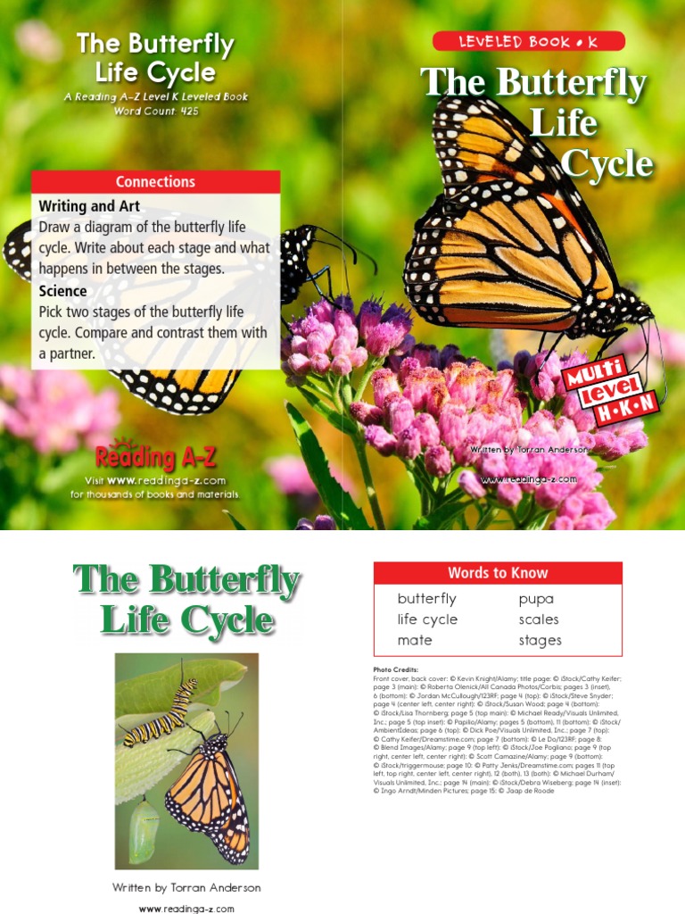 Butterfly Life Cycle | Download Free PDF | Butterfly | Egg