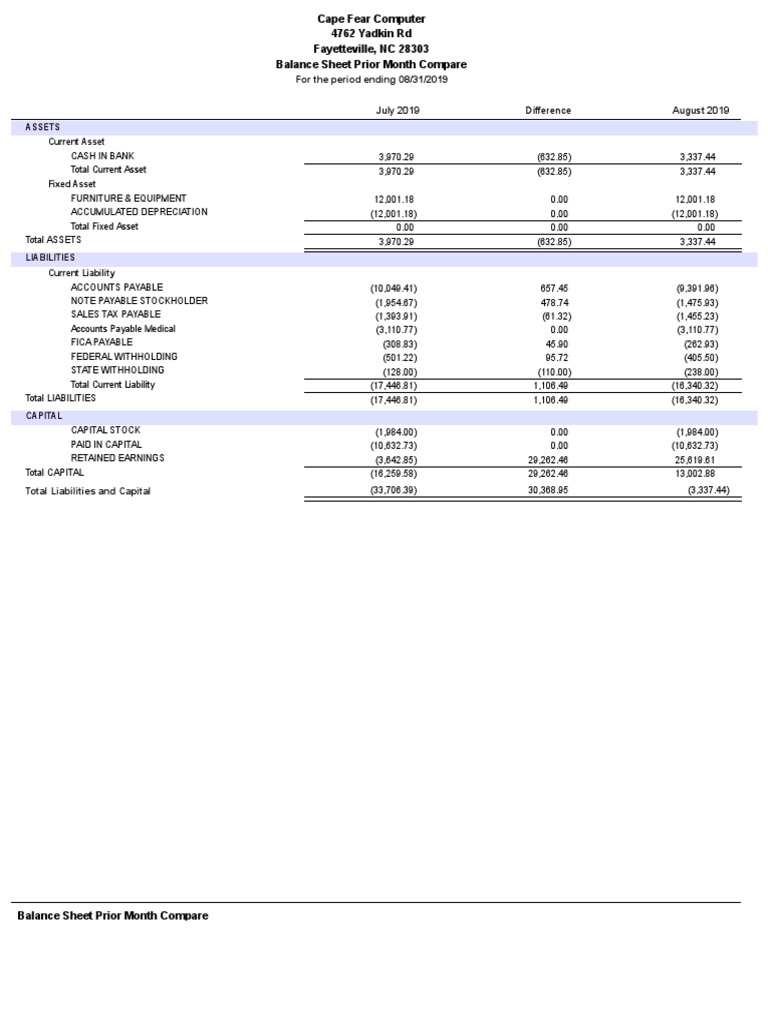 Balance Sheet August 2019 | PDF | Retained Earnings | Balance Sheet