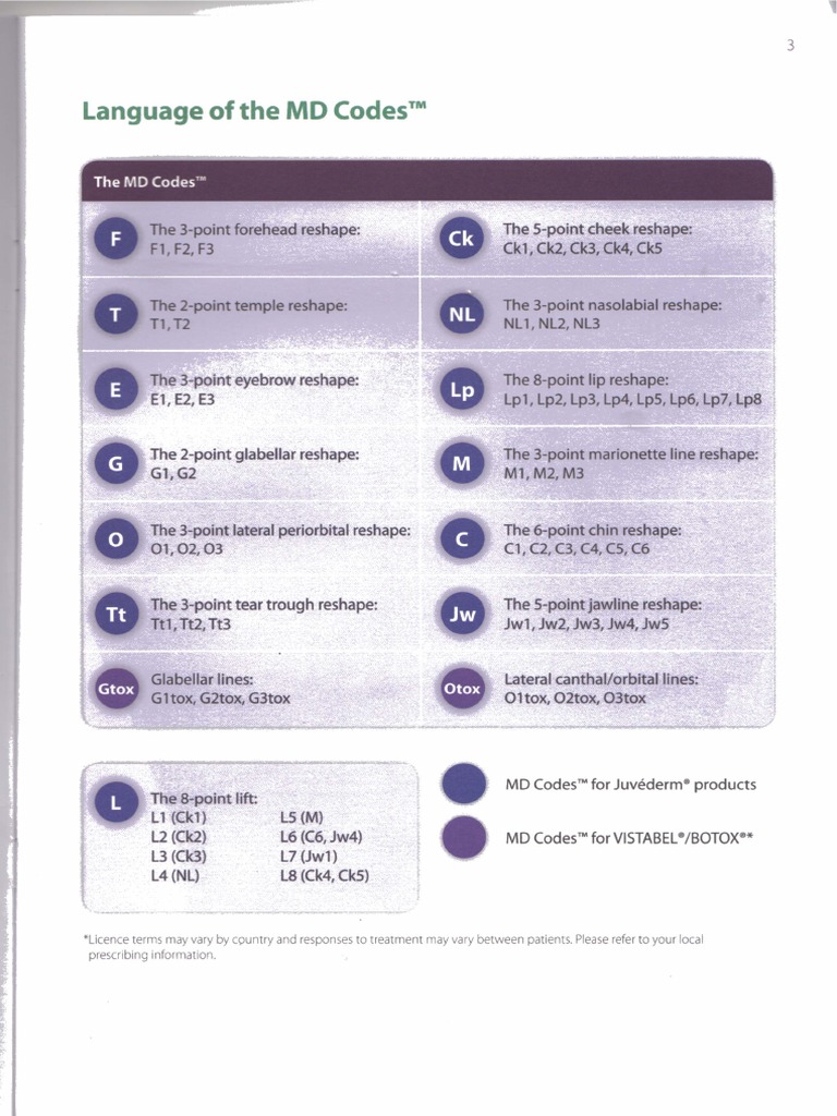 Language of The MD Codes | PDF