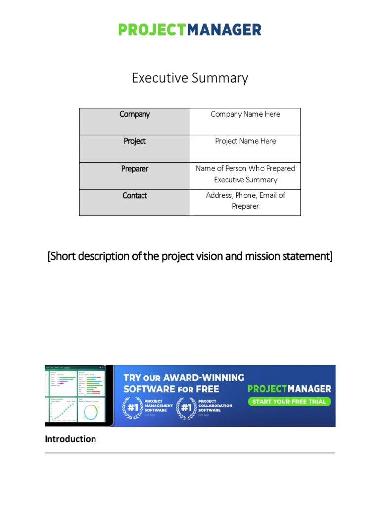 Executive Summary: (Short Description of The Project Vision and Mission ...