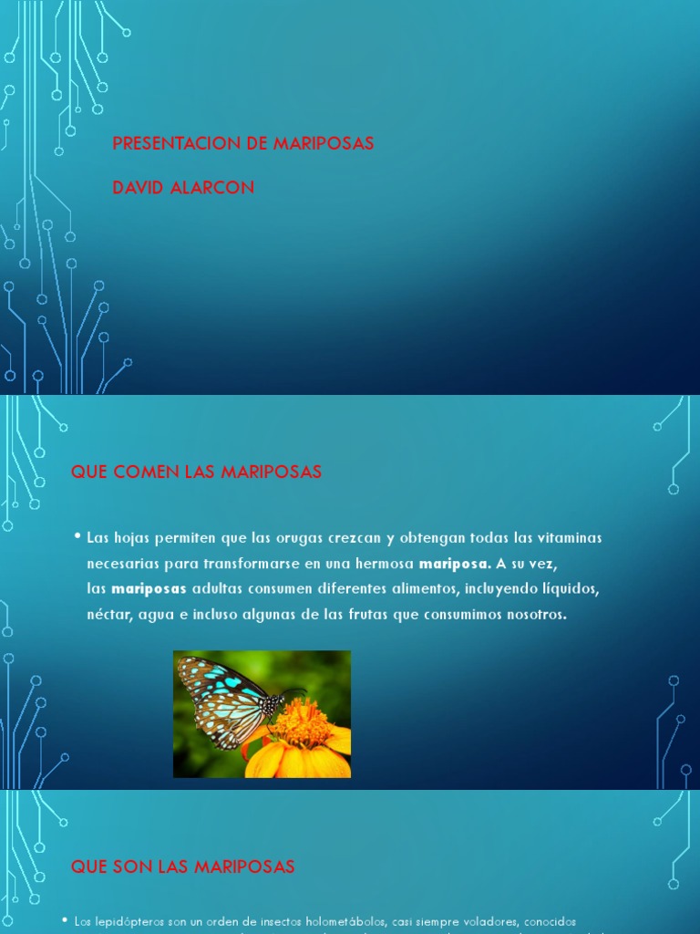 Guía Completa sobre Mariposas | PDF | Lepidópteros | Mosca