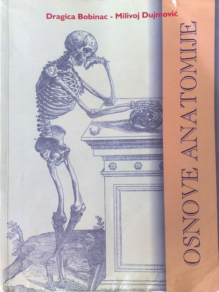 Bobinac Dujmović - Osnove Anatomije PDF | PDF