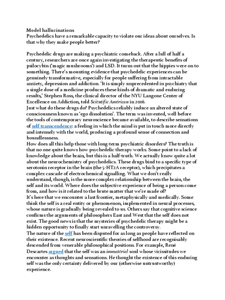 Model Hallucinations | PDF | Thought | Awareness