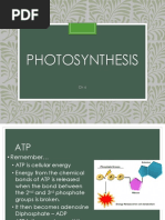 Photosynthesis: Key Concepts & Processes | PDF | Photosynthesis ...