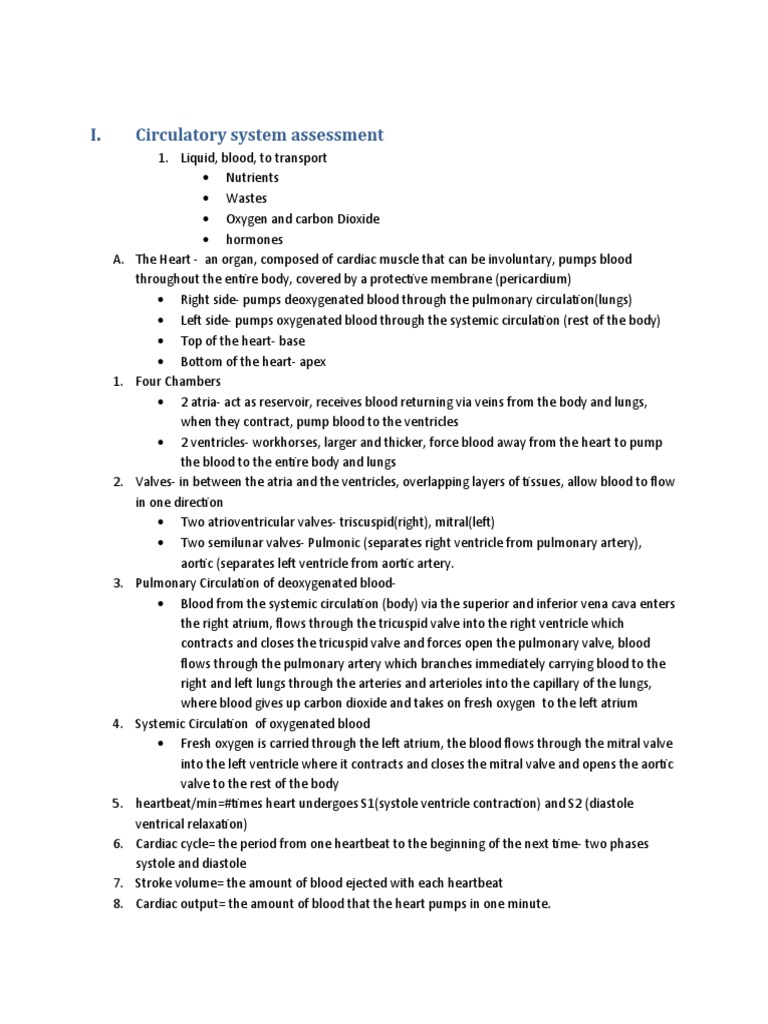 Circulatory System Assessment | PDF | Heart | Atrium (Heart)
