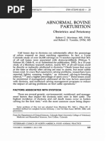 Cattle Physical Examination Guide | PDF | Heart | Cattle