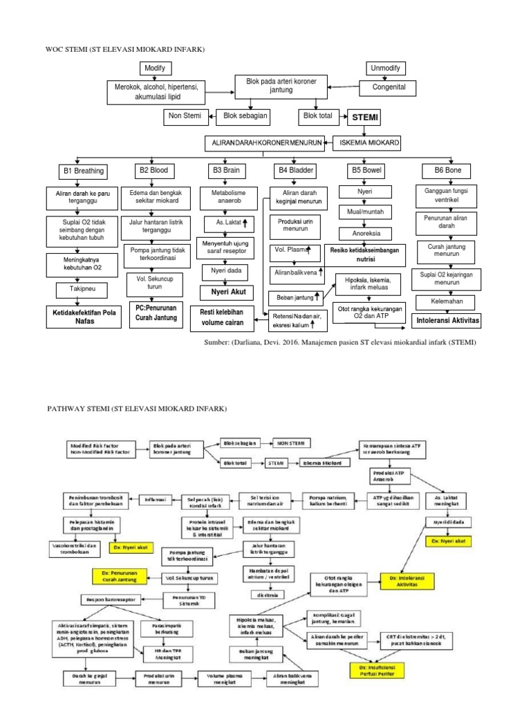 Pathway Manajemen STEMI dan Risiko | PDF