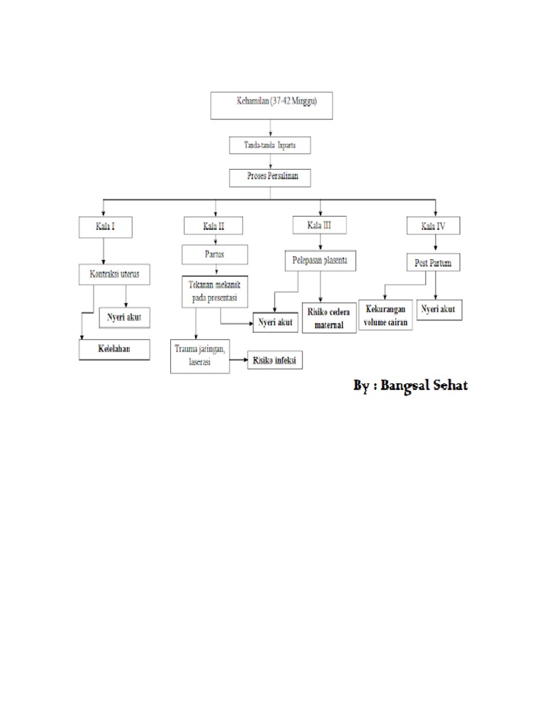 Pathway Persalinan Normal | PDF
