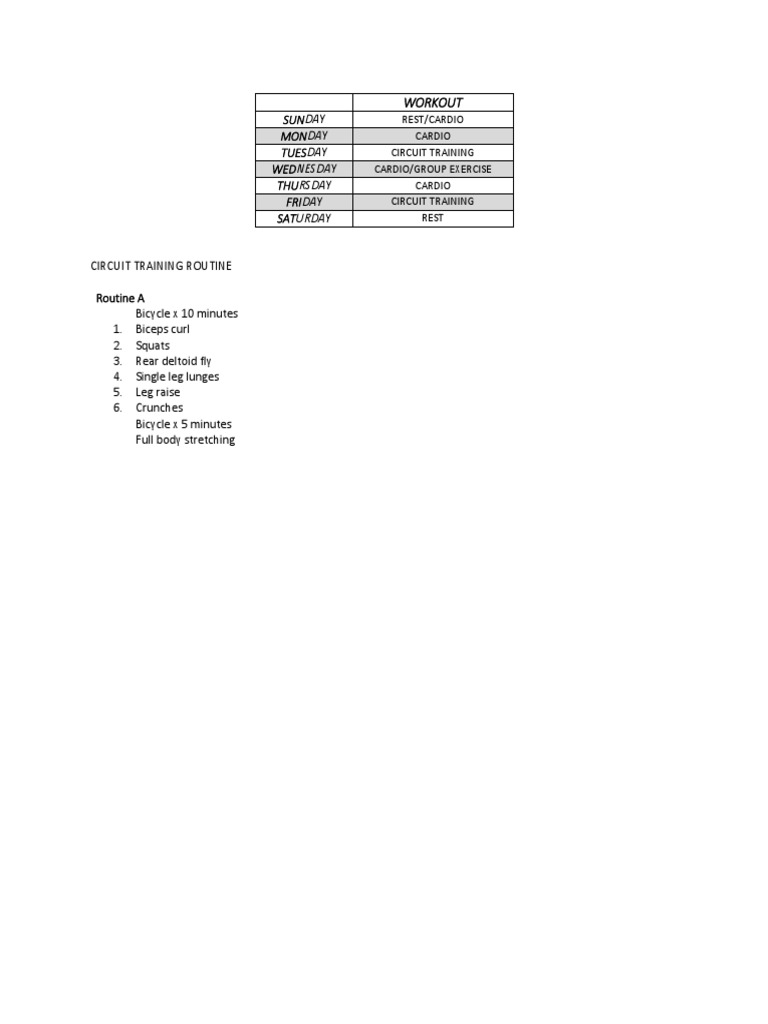 Workout Plan PDF
