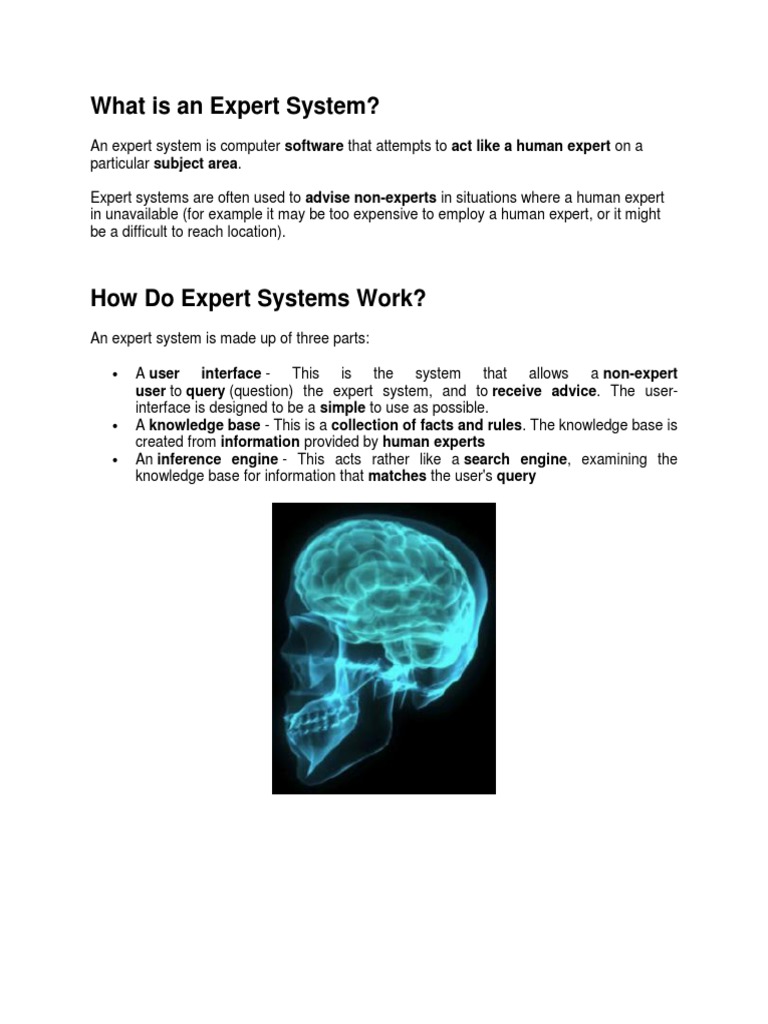 What Is An Expert System | PDF | Computers