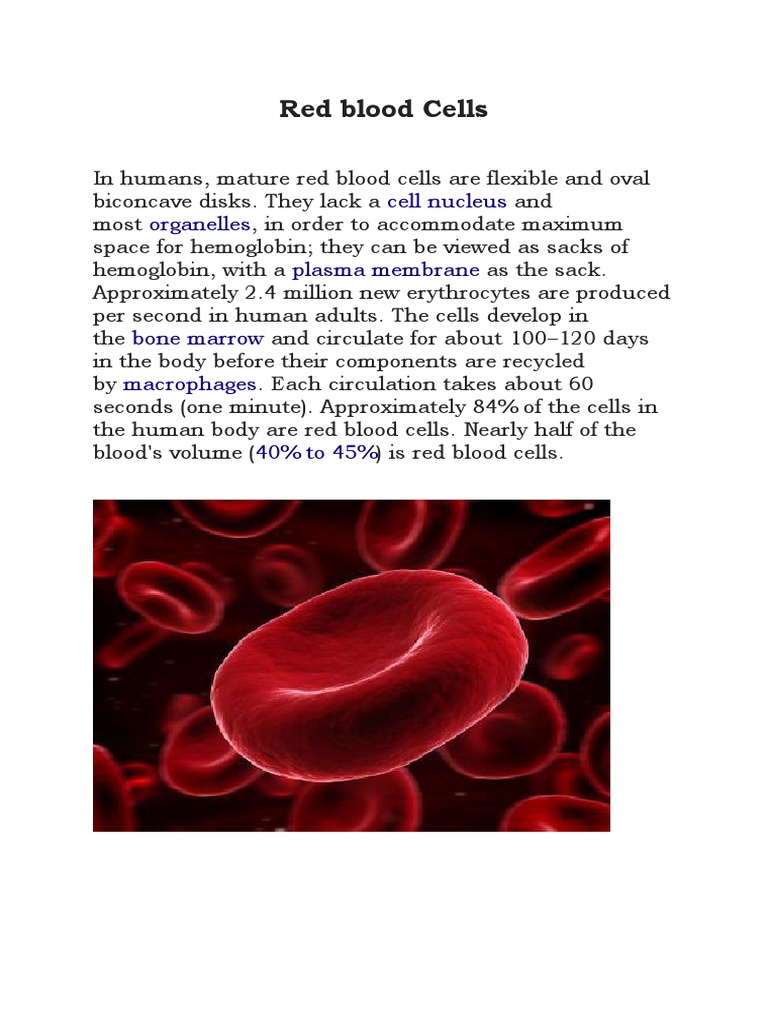 Red blood cells carry oxygen through the body | PDF